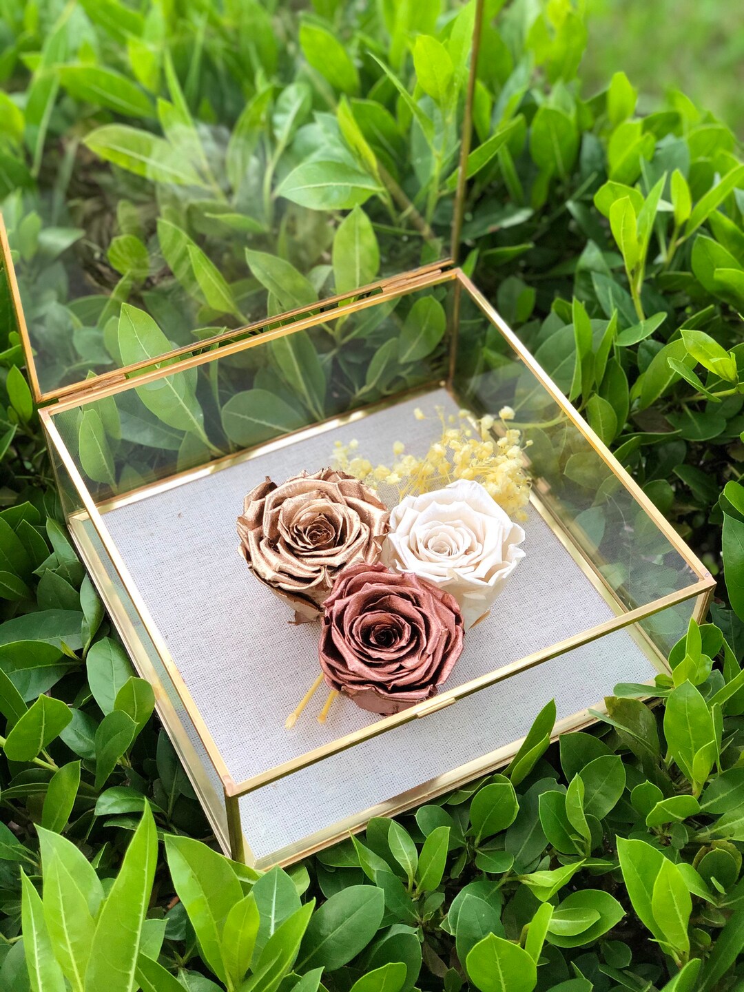 Eternity Roses in a Glass Box | Metallic Roses in a Brass Box | Shadow ...