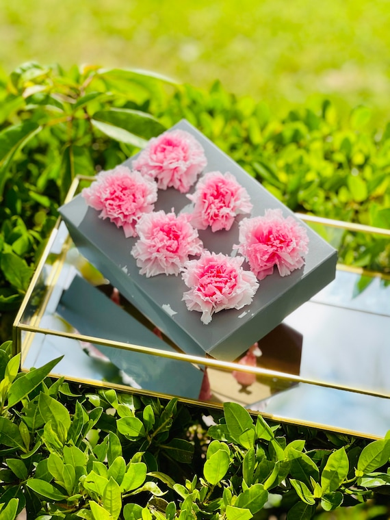 Preserved Carnations Real Carnations Last for Years Spain - Etsy