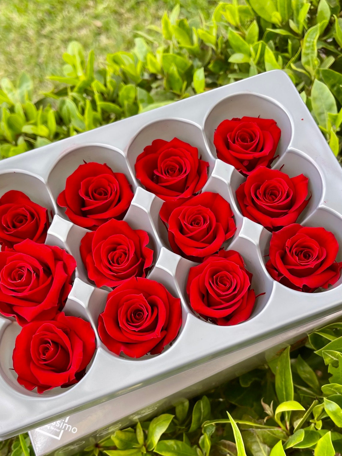 Verdissimo 12 Pack Small Size Roses, Preserved Roses for DIY, Wholesale ...
