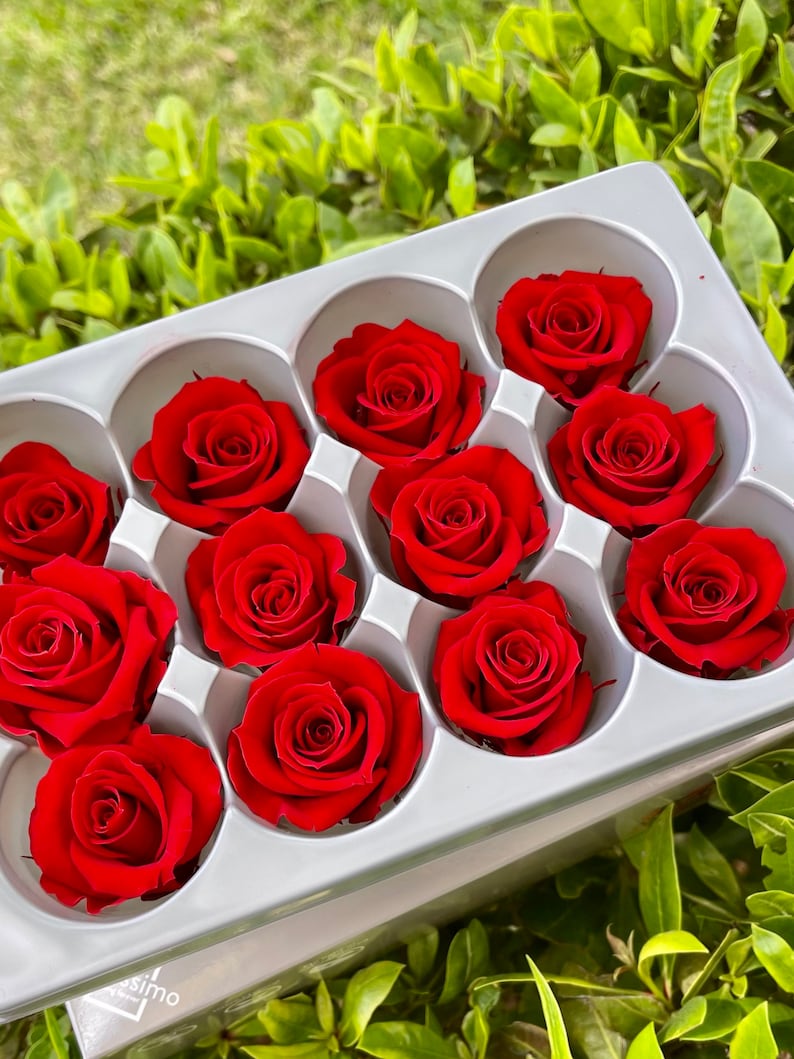 Verdissimo 12 Pack Small Size Roses, Preserved Roses for DIY, Wholesale ...