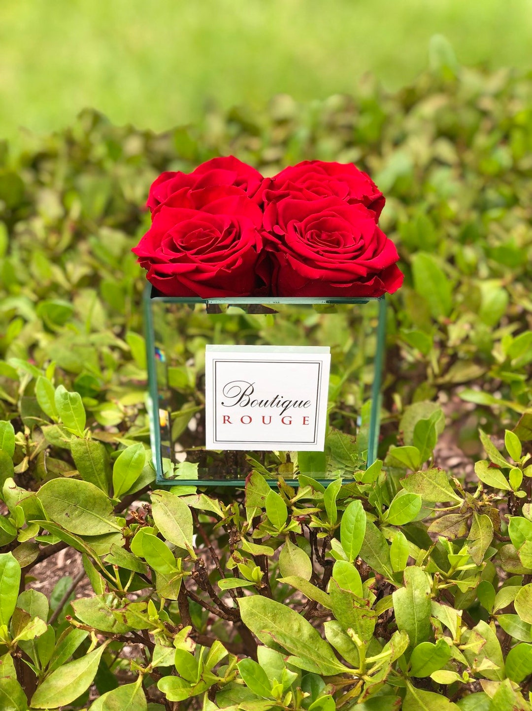 Mirror Cubical Vase With Preserved Roses, Infinity Roses in a Square ...