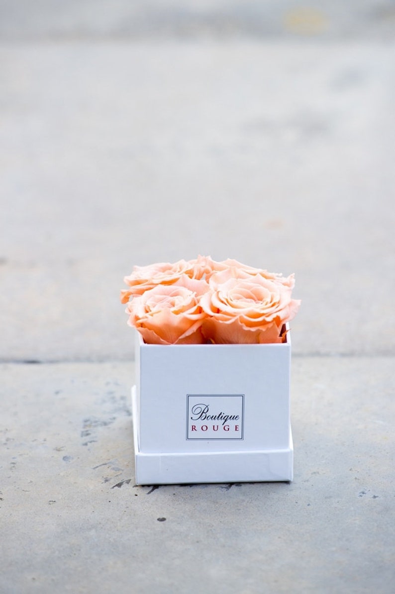 Preserved Roses / Petite Box of Roses / Eternal Roses / Roses - Etsy