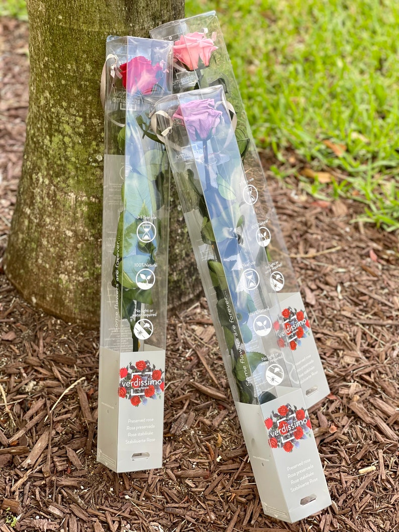 Preserved Stem Roses Preserved Red Stem Roses Wholesale | Etsy