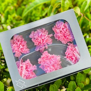 Preserved Carnations, Real Carnations Last for Years, Spain Grown ...
