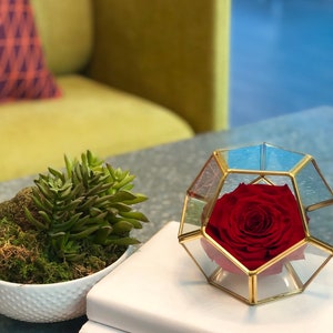 Flowers in a Terrarium | Roses in a Terrarium | Valentines Day Gifts ...