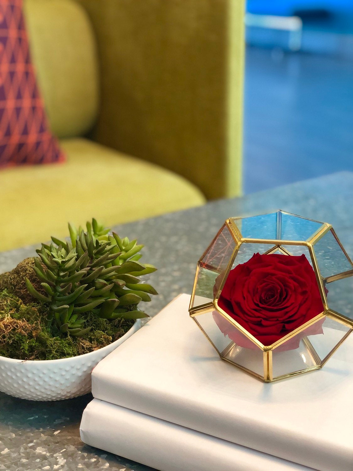 Flowers in a Terrarium Roses in a Terrarium Valentines Day | Etsy