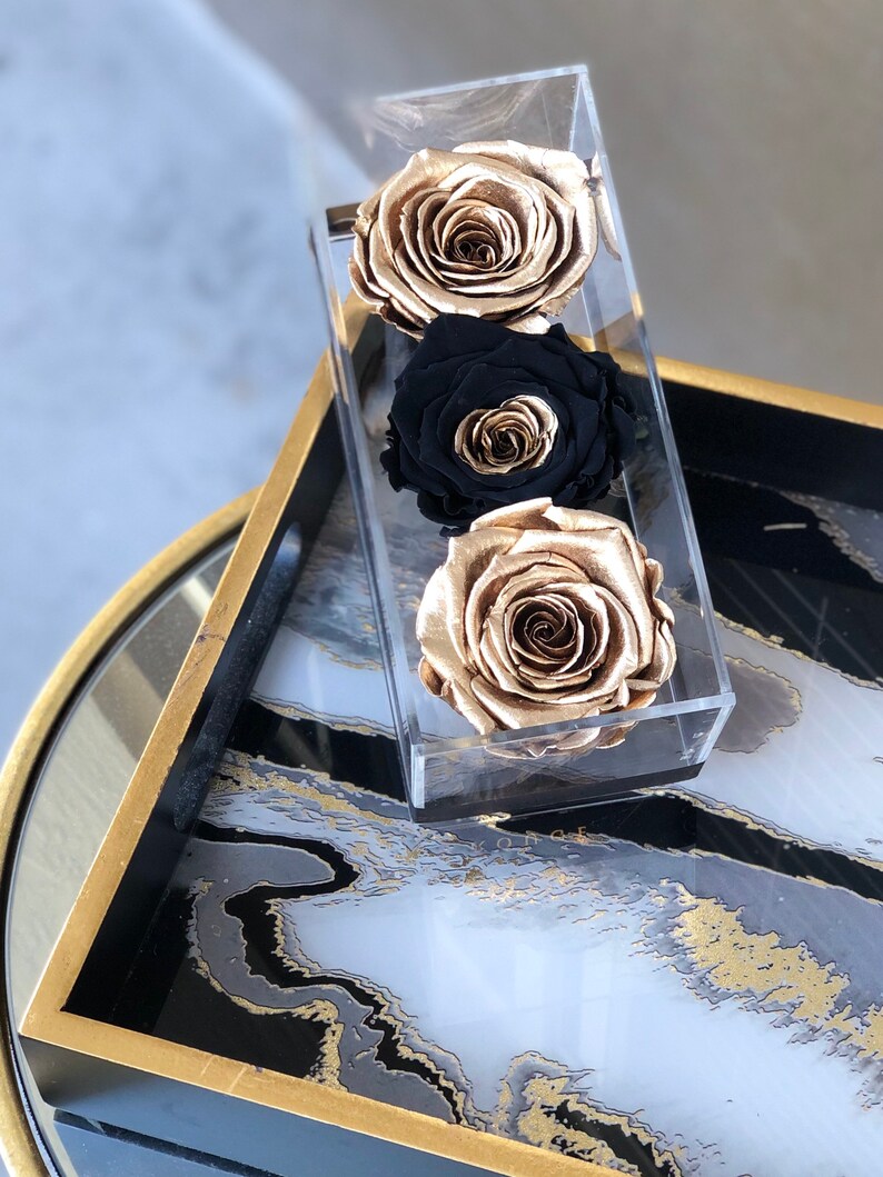 Preserved Roses in a Keepsake Acrylic Box Roses Last for - Etsy