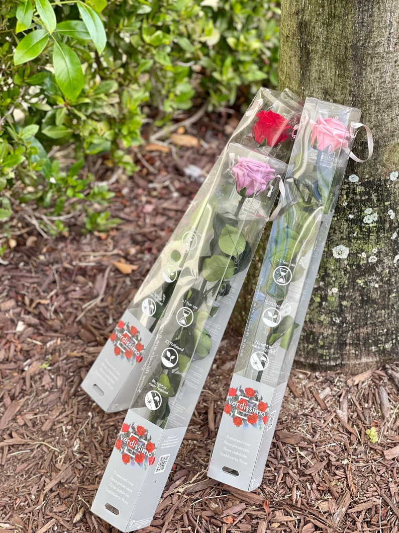 Preserved Stem Roses Preserved Red Stem Roses Wholesale | Etsy