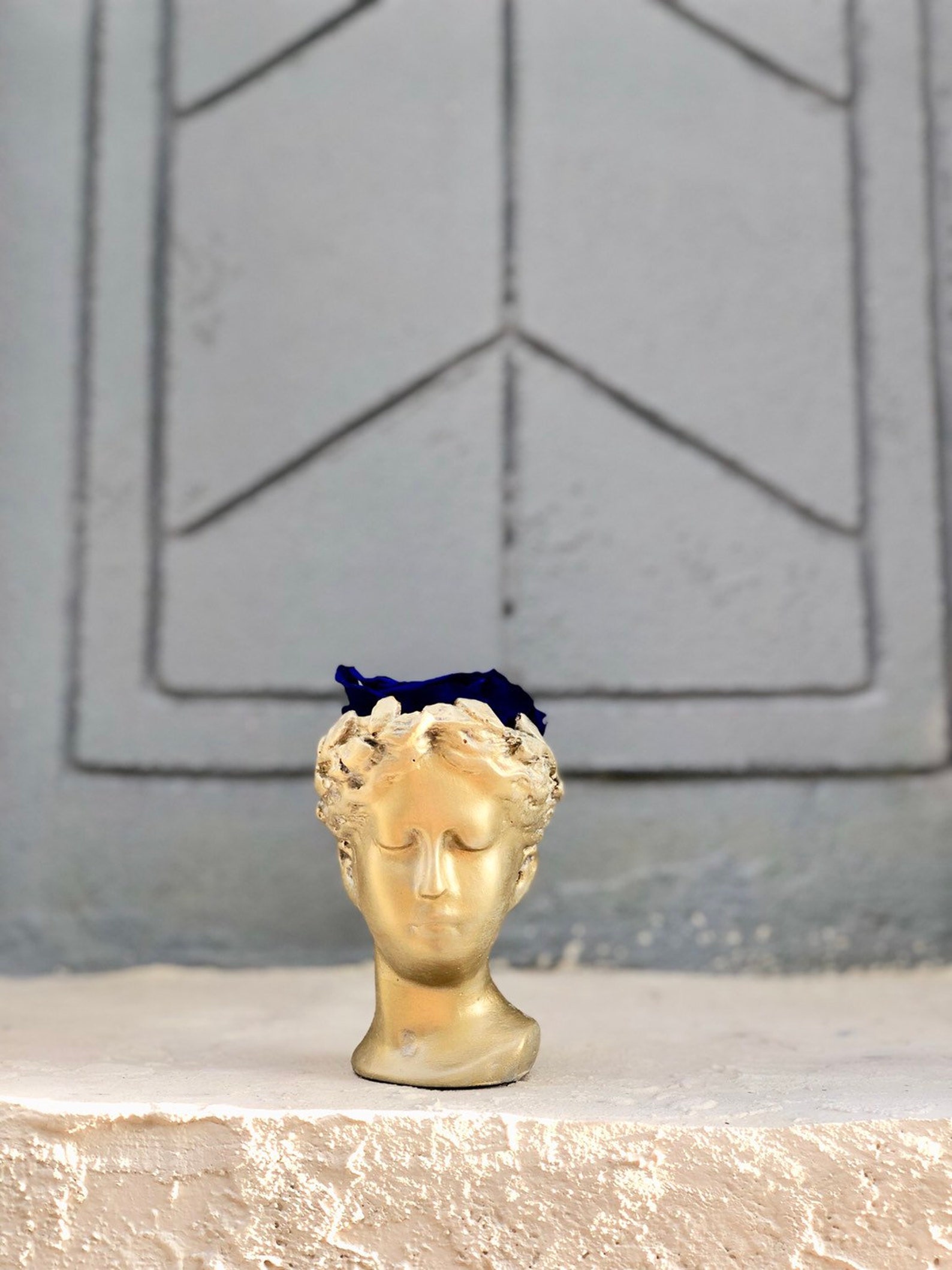Venus Planter Head, Goddess Statue With Preserved Rose, Concrete ...