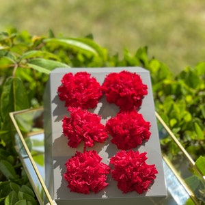 Preserved Carnations, Real Carnations Last for Years, Spain Grown ...