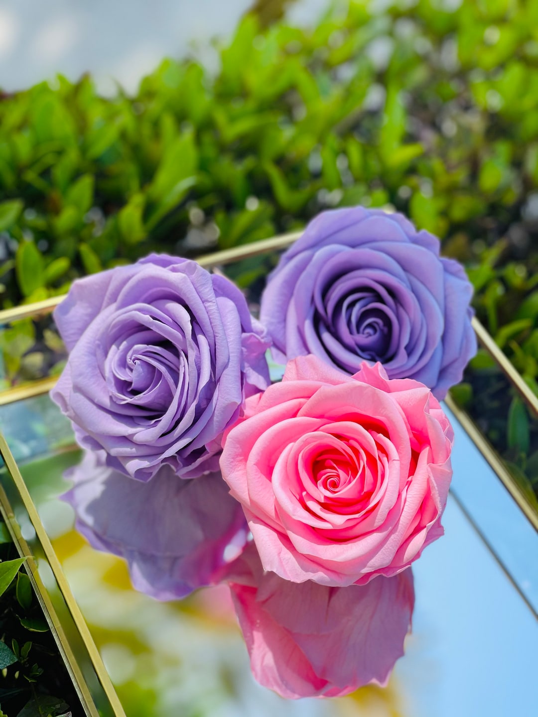 Real Roses Last for Years, XXL Preserved Roses, XXL Eternity Roses ...