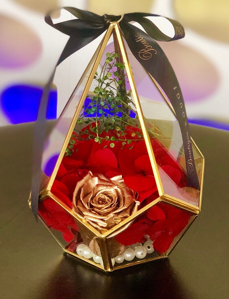 Gold Terrarium Terrarium for Coffee Table Terrarium With - Etsy