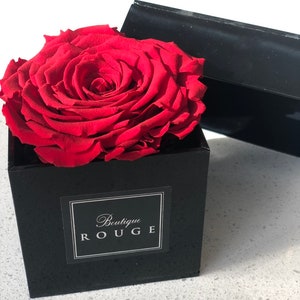 Preserved Roses | Bridesmaid Gifts | Couple Gifts | Roses in a Box ...