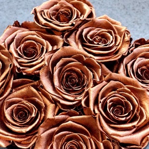 XL Size Single Preserved Rose, Metallic Preserved Rose, Gold Rose ...