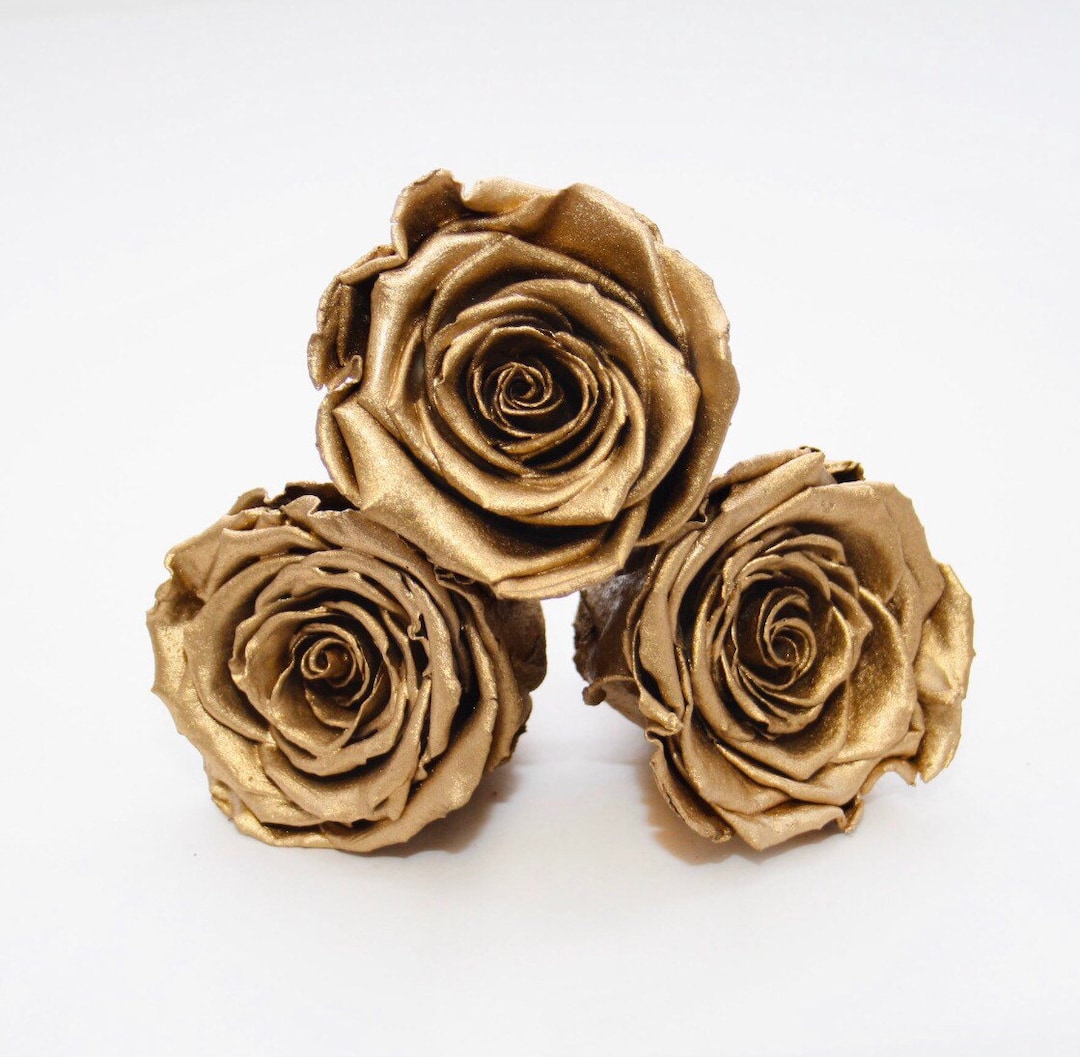 XL Size Single Preserved Rose, Metallic Preserved Rose, Gold Rose ...