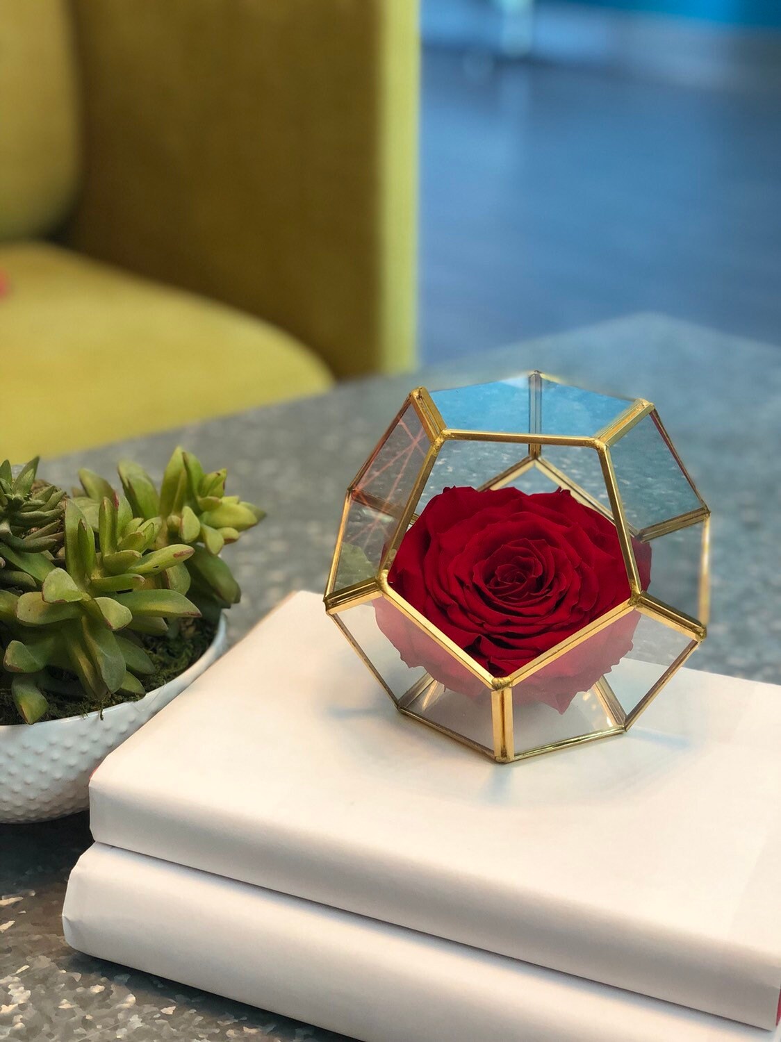 Flowers in a terrarium Roses in a terrarium Valentines Day | Etsy