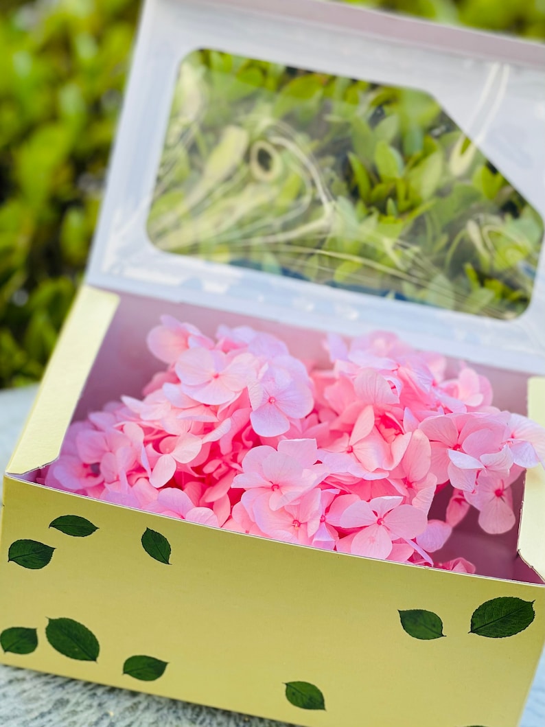 Large Preserved Hydrangeas, Wholesale Hydrangeas, 20 Gr Hydrangeas ...