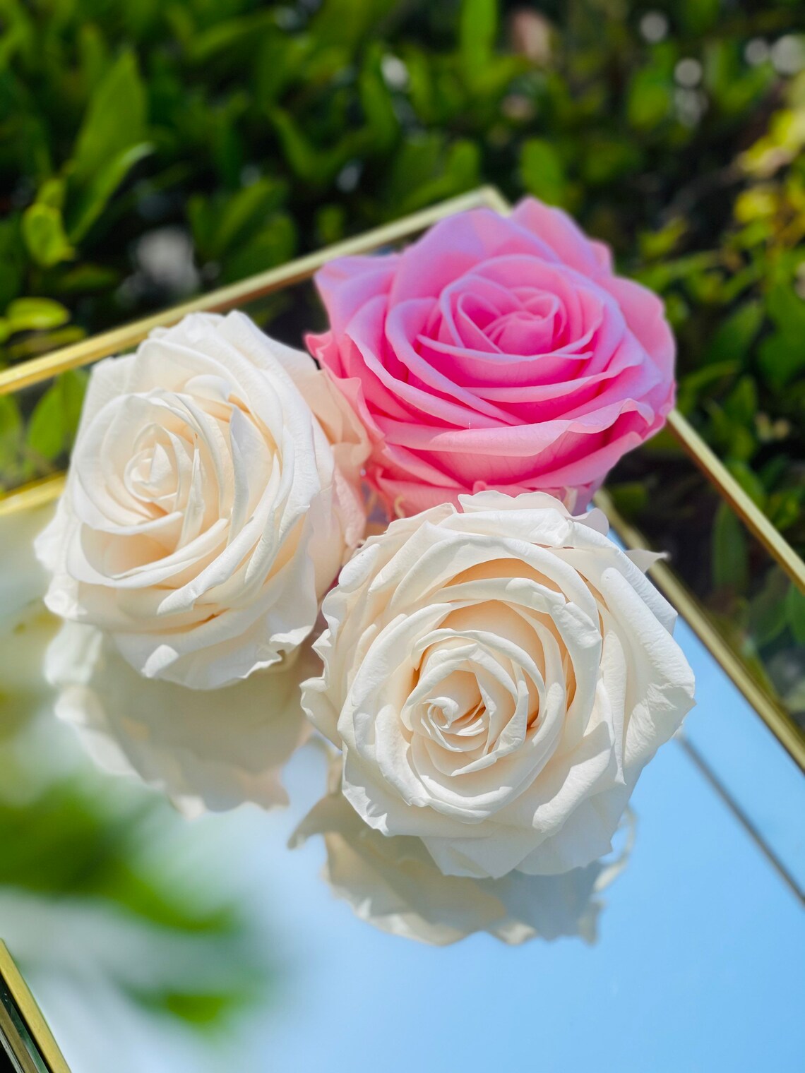 Real roses last for years XXL Preserved roses XXL Eternity | Etsy