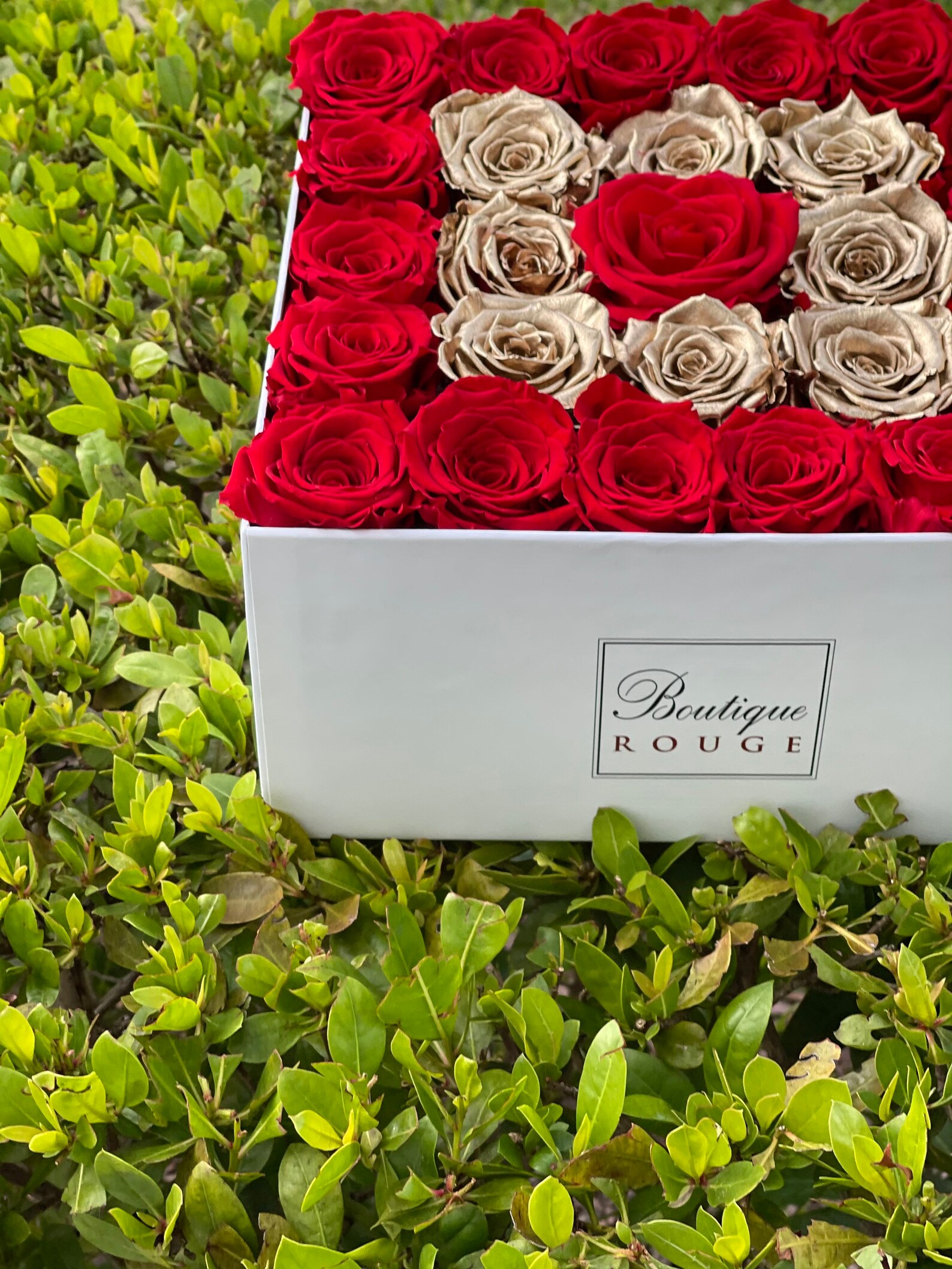 Proposal Roses for Valentines, Proposal Gifts for Valentines, Proposal ...