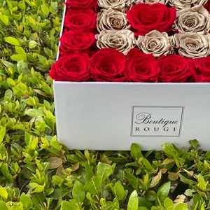Proposal Roses for Valentines, Proposal Gifts for Valentines, Proposal ...