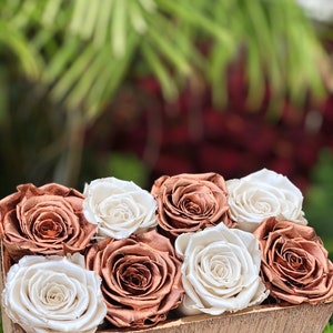 XL Size Single Preserved Rose, Metallic Preserved Rose, Gold Rose ...