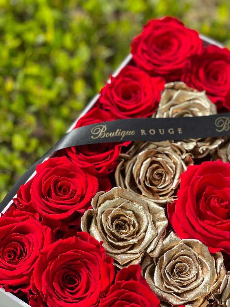 Proposal Roses for Valentines, Proposal Gifts for Valentines, Proposal ...