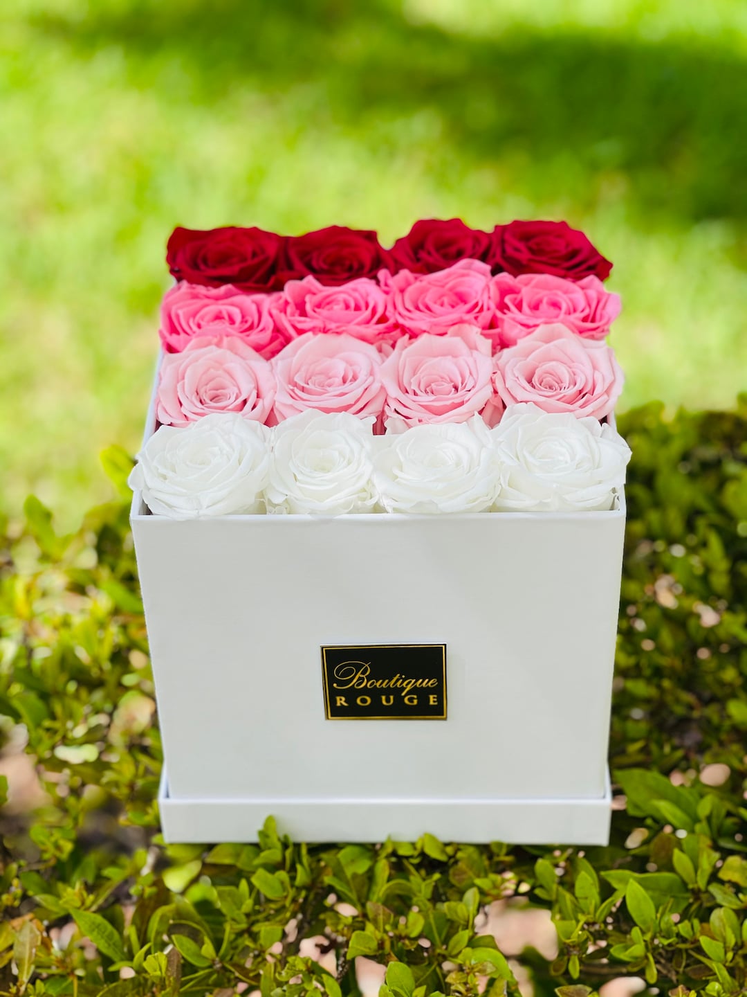 Pink Ombré Eternity Roses, Pink Ombré Roses in a White Box, Pink ...