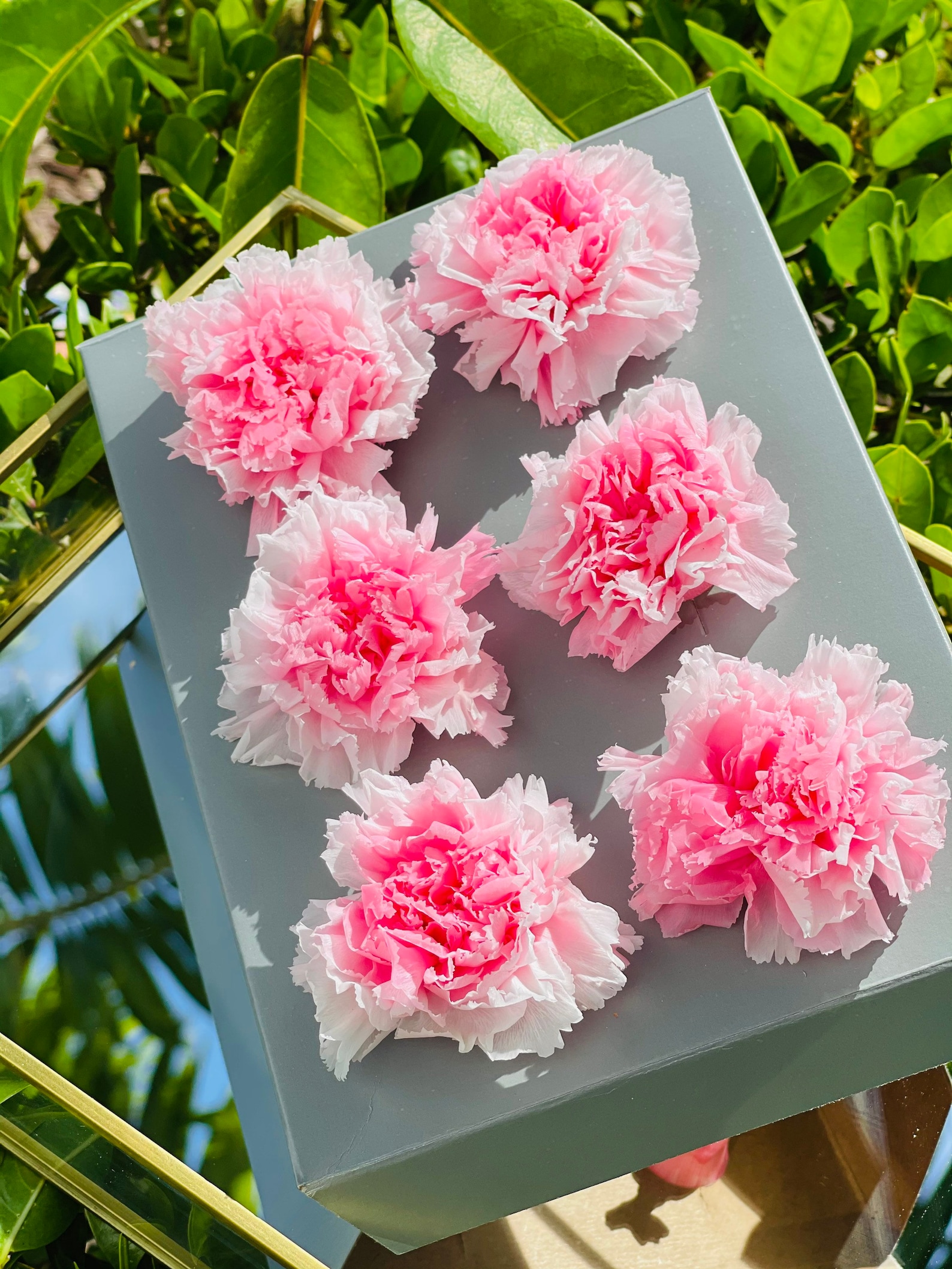 Preserved Carnations Real Carnations Last for Years Spain - Etsy