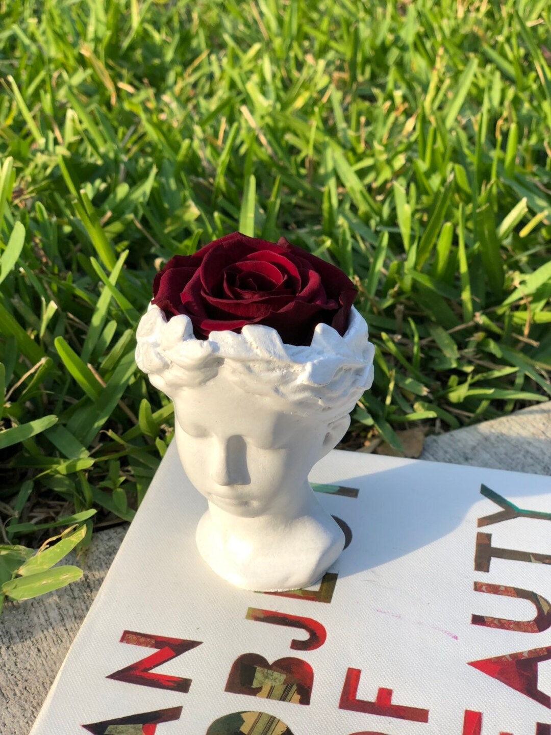 Venus Planter Head, Goddess Statue With Preserved Rose, Concrete ...