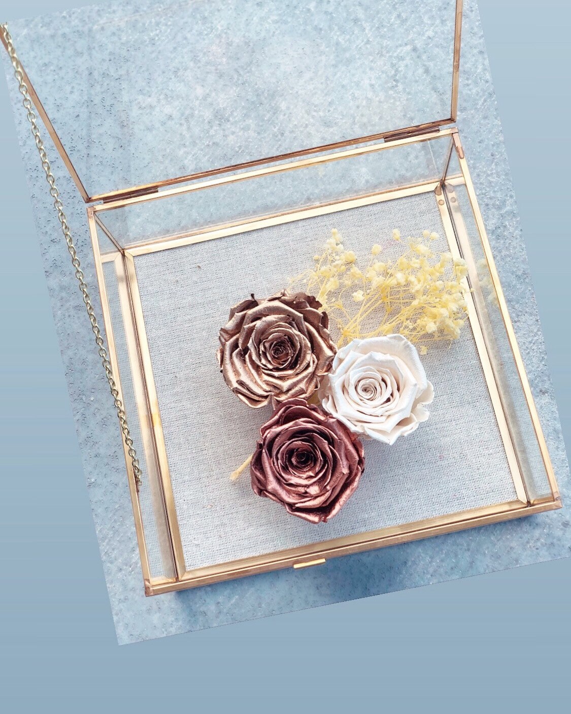 Eternity Roses in a Glass Box Metallic Roses in a Brass Box - Etsy