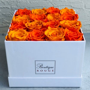 Eternal Roses, Preserved Roses in a Box, Roses That Last for Years ...