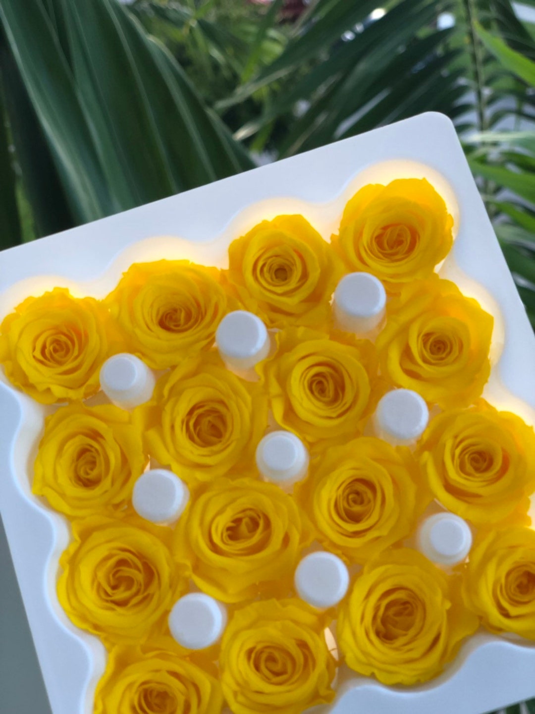 Petite Preserved Roses Wholesale Preserved Roses Wholesale Eternity ...