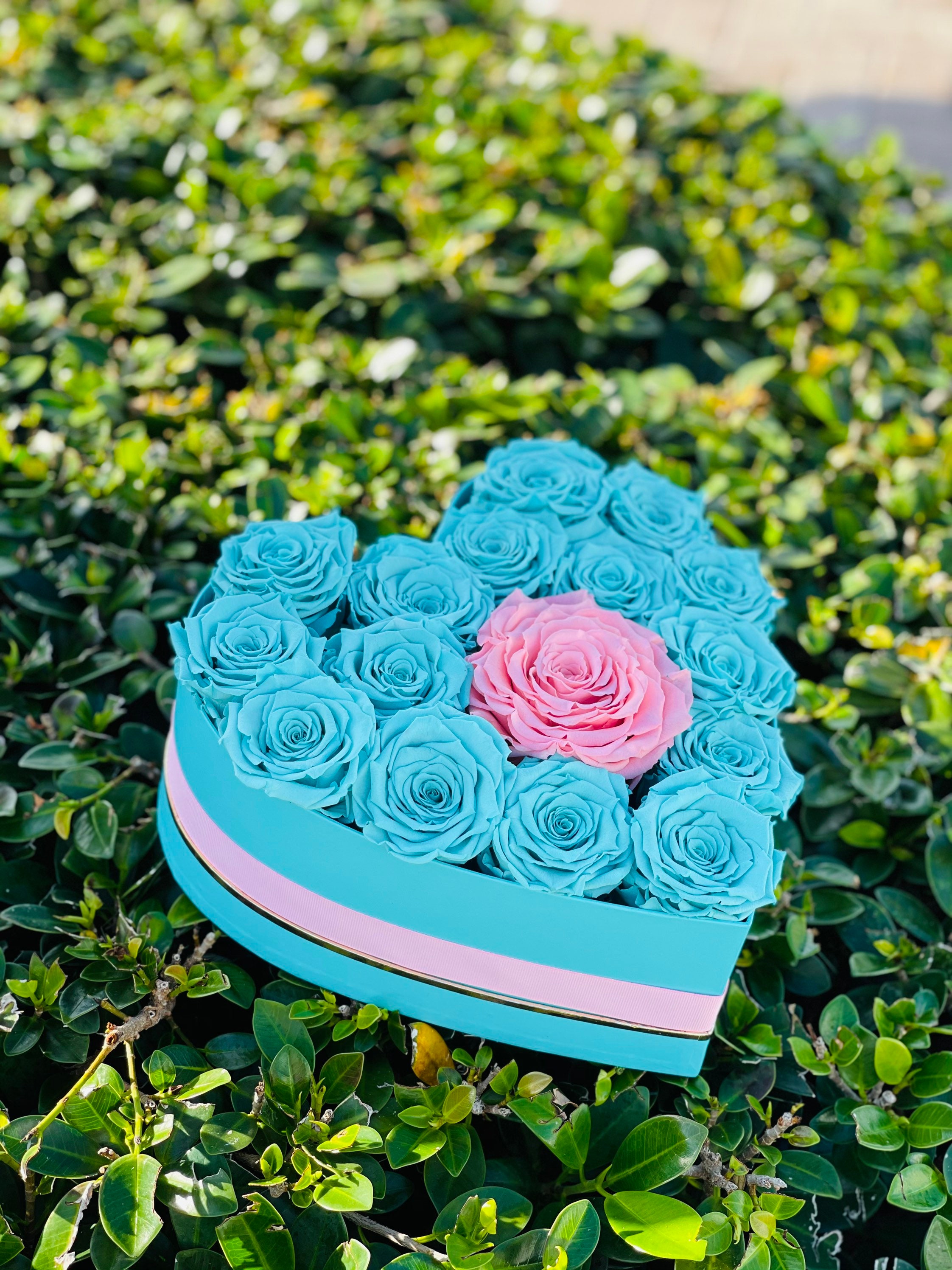 Caja en forma de corazón con rosas conservadas rosas del día | Etsy
