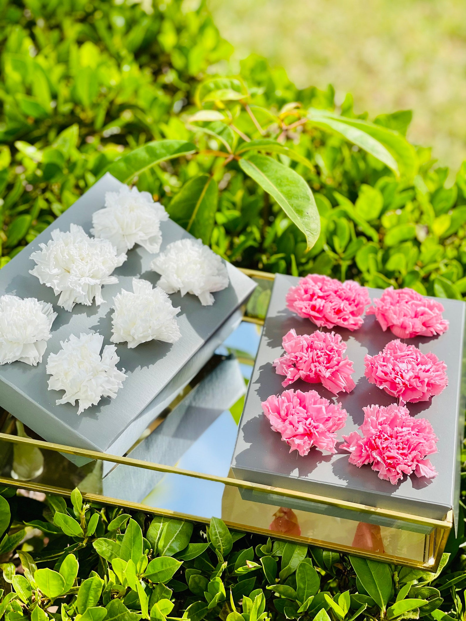 Preserved Carnations Real Carnations Last for Years Spain - Etsy