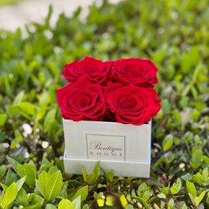 Preserved Roses / Petite Box of Roses / Eternal Roses / Roses in a Box ...