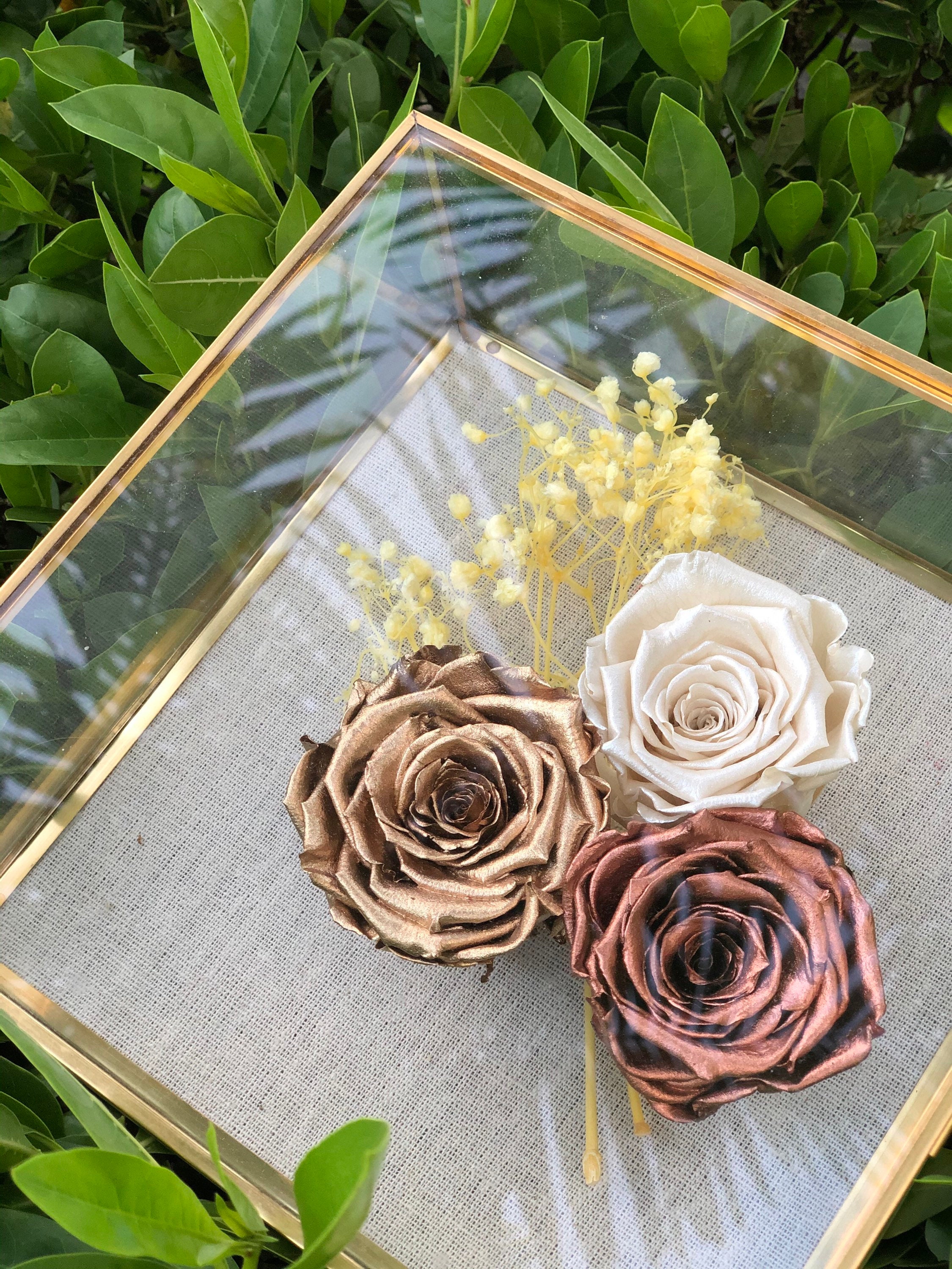 Eternity Roses in a Glass Box Metallic Roses in a Brass Box | Etsy