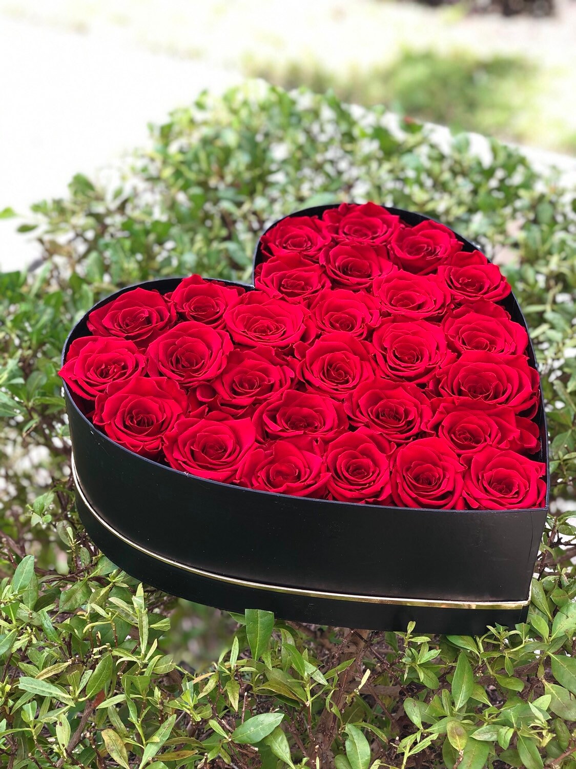 Heart Shape Box W Red Roses | Red Roses in a Box | Valentines Day Gifts ...
