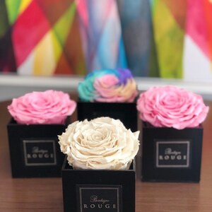 Preserved Roses Bridesmaid Gifts Couple Gifts Roses in a Box Black ...