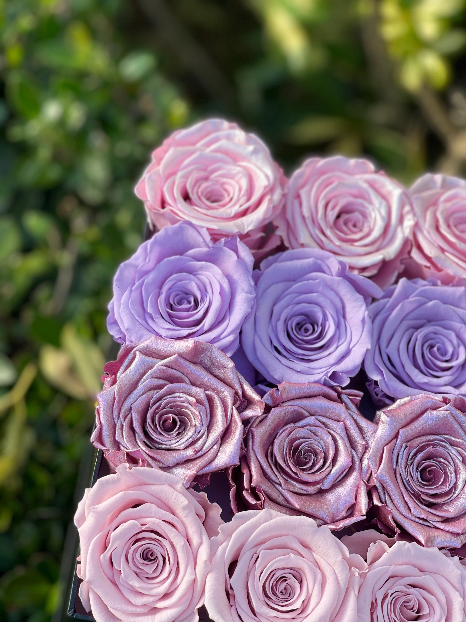 Valentines Pink Roses Valentines Roses Valentines Gifts for - Etsy