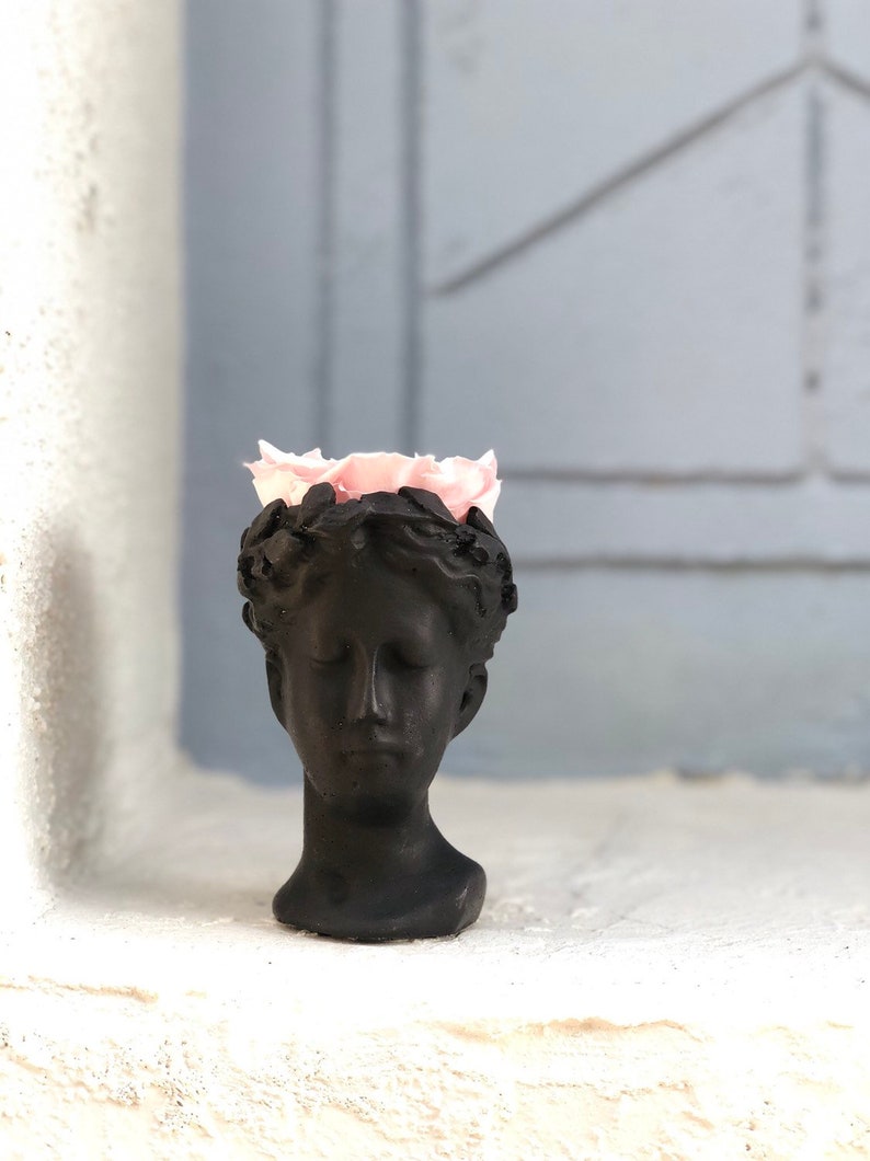 Venus Planter Head, Goddess Statue With Preserved Rose, Concrete ...