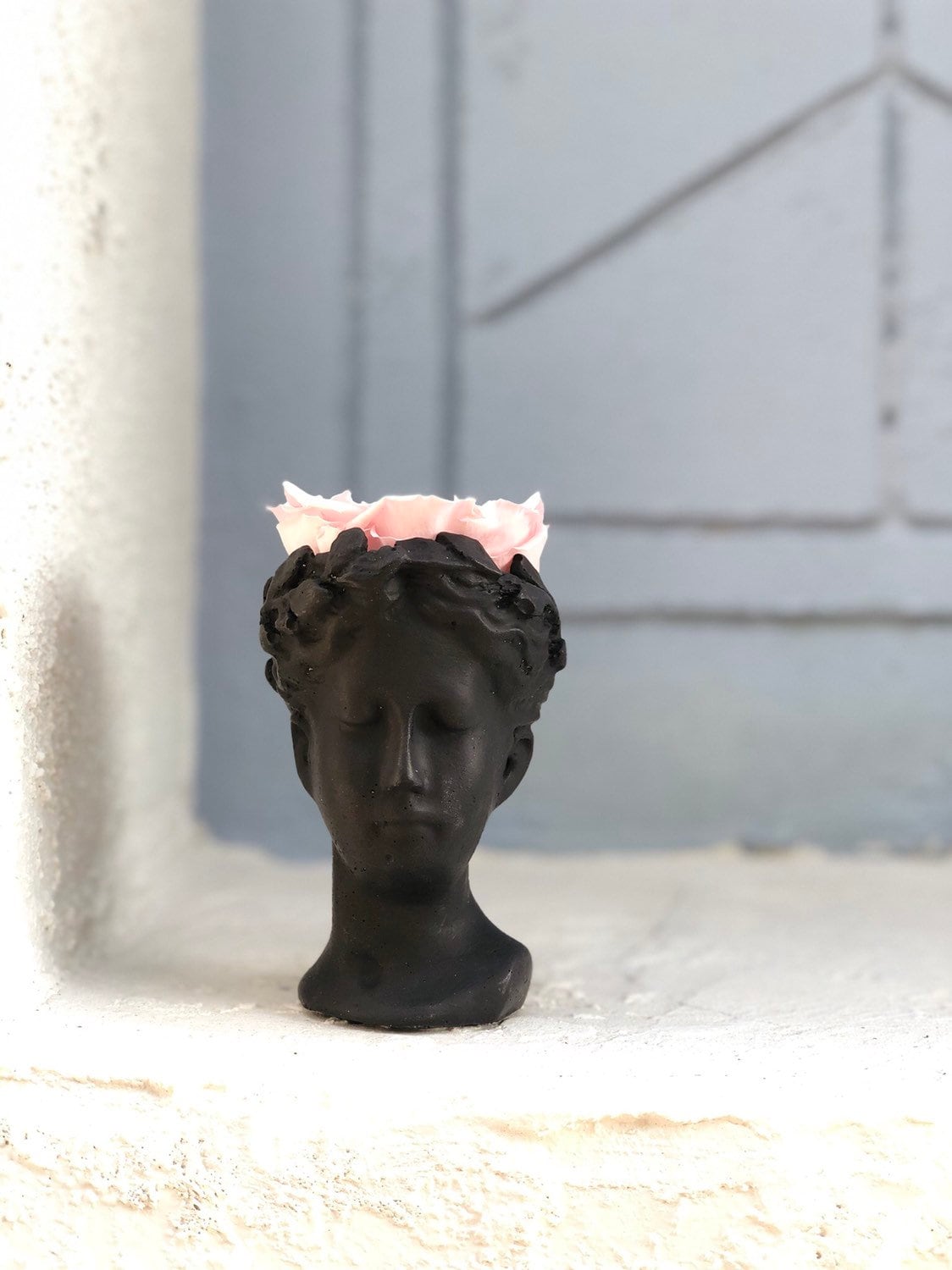 Venus Planter Head, Goddess Statue With Preserved Rose, Concrete ...