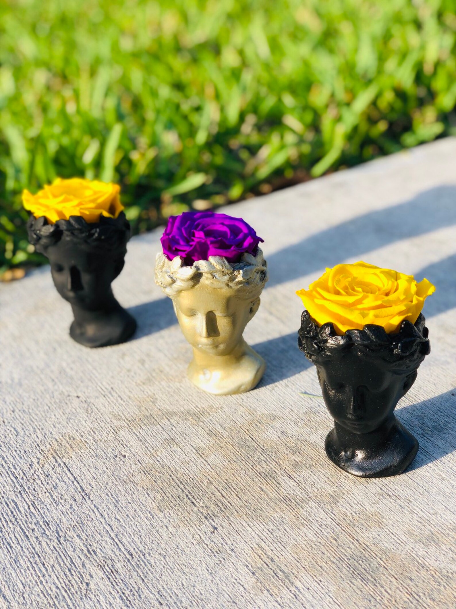 Venus Planter Head, Goddess Statue With Preserved Rose, Concrete ...