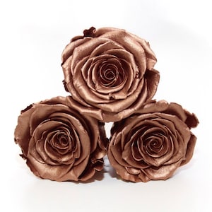 XL Size Single Preserved Rose, Metallic Preserved Rose, Gold Rose ...