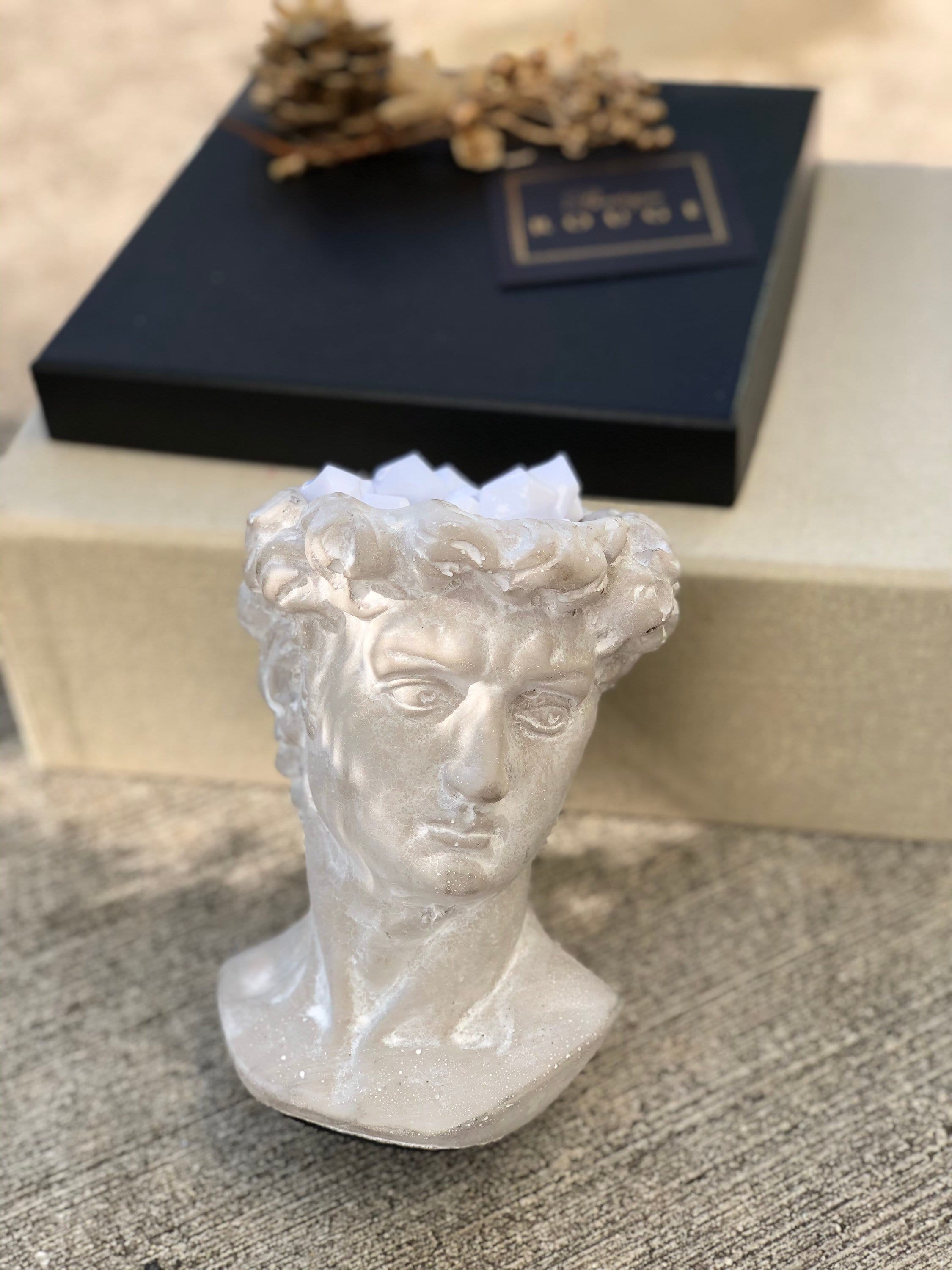 Concrete David Bust Concrete David Planter Antique David | Etsy