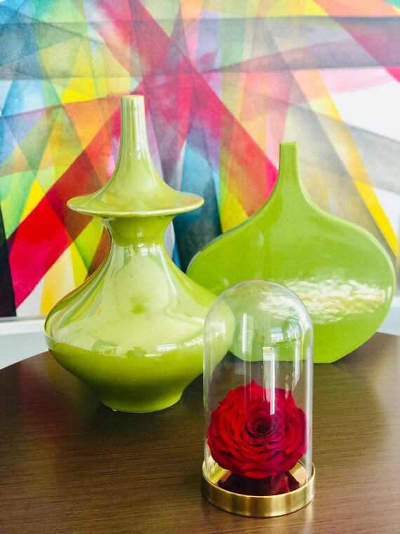 Beauty and the Beast Eternal Rose Preserved Roses Roses With | Etsy