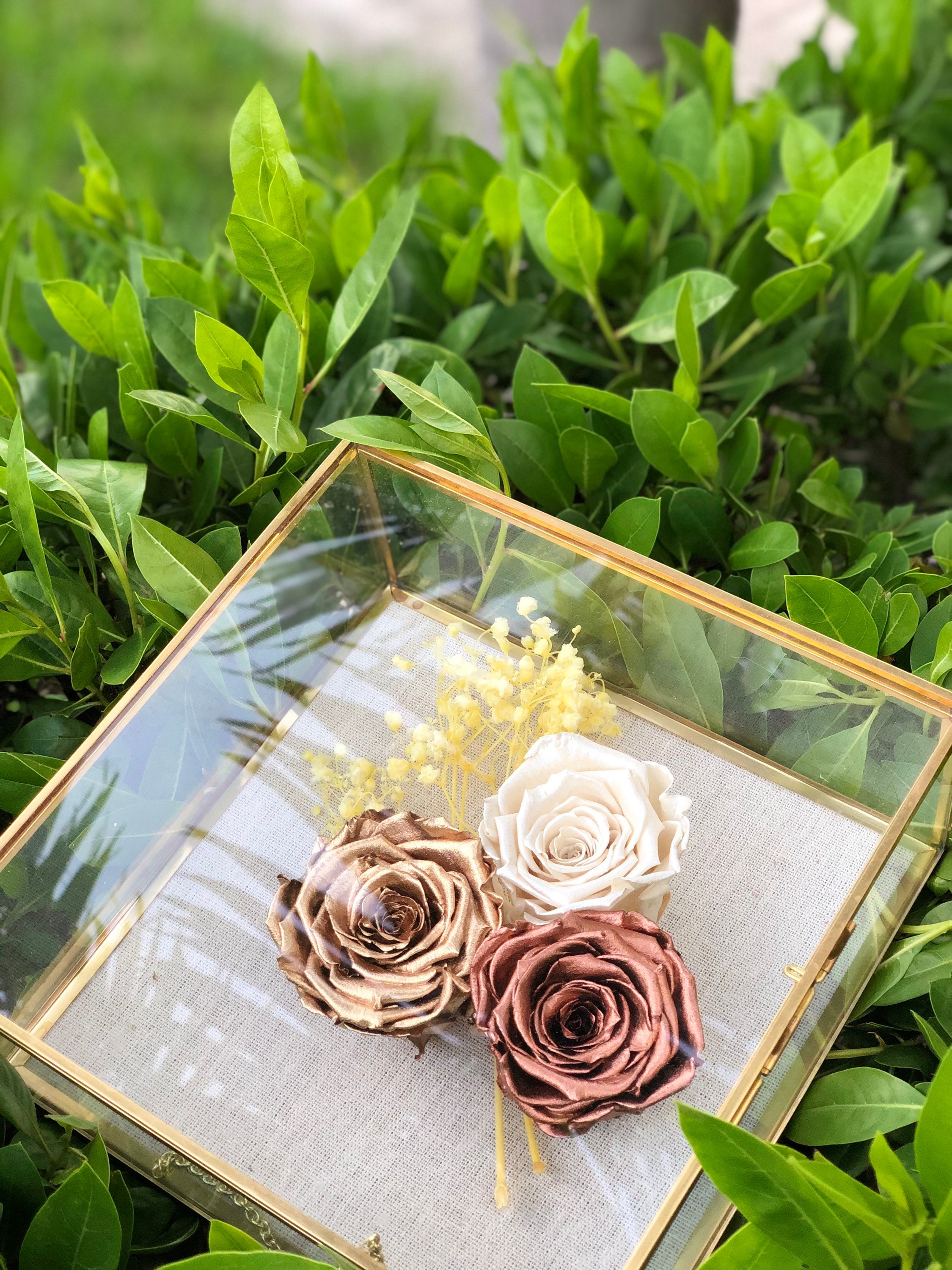 Eternity Roses in a Glass Box Metallic Roses in a Brass Box - Etsy
