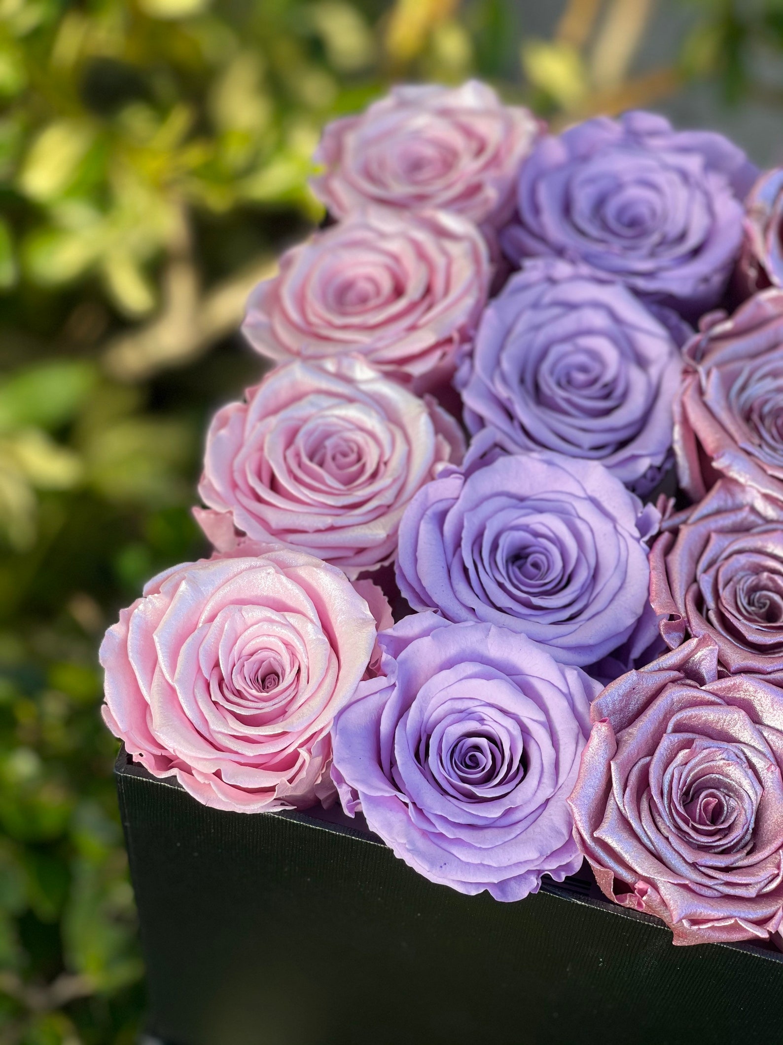 Valentines Pink Roses Valentines Roses Valentines Gifts for - Etsy