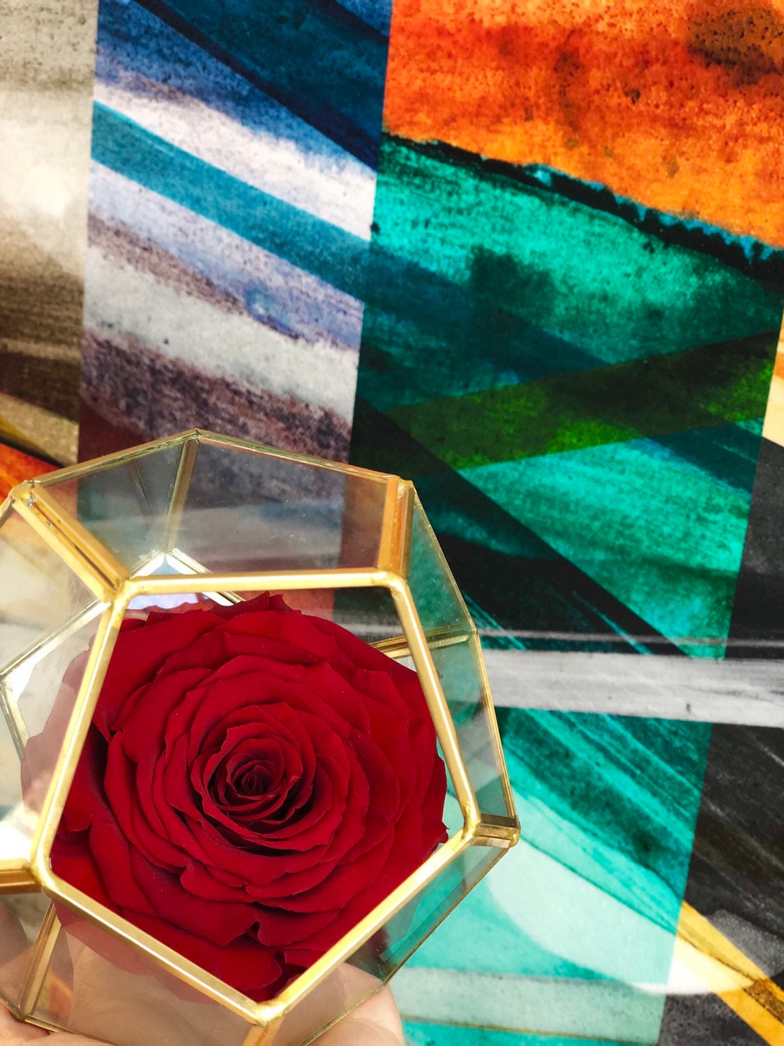 Flowers in a Terrarium Roses in a Terrarium Valentines Day | Etsy