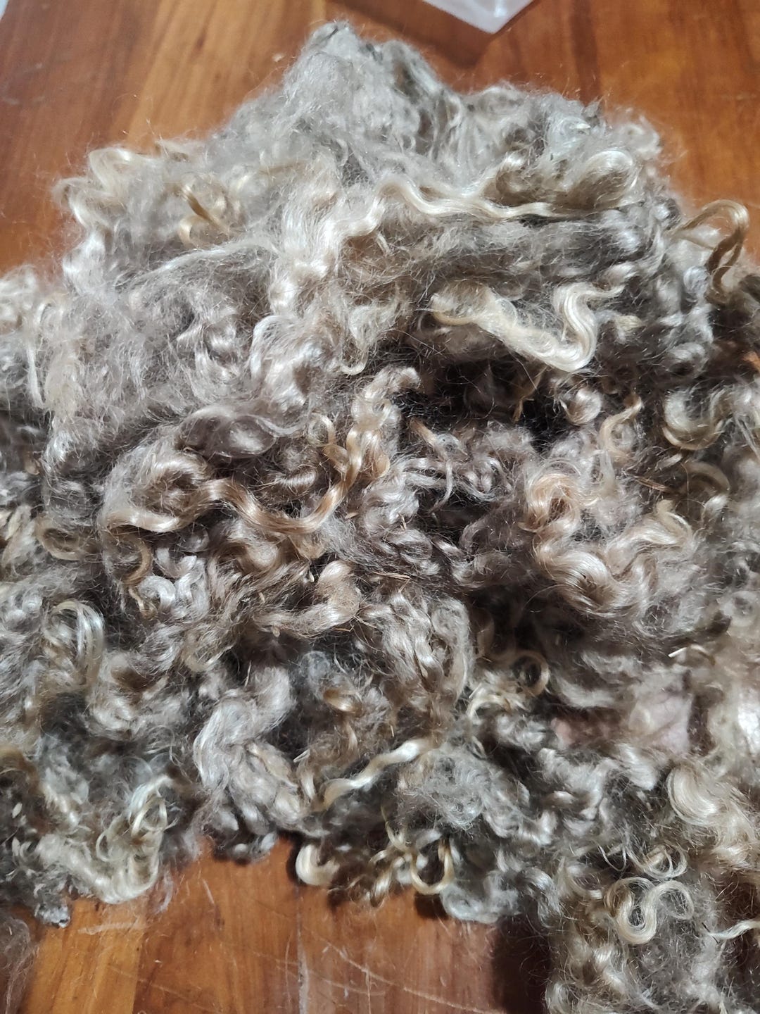 Natural Tan Kid Mohair Locks, First Clip Fleece, Spinning Felting ...