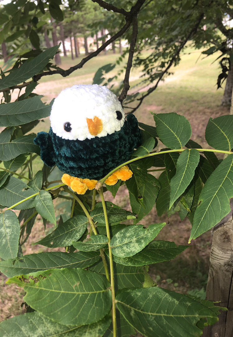 Bernice the Bird PDF Crochet Pattern Amigurumi Beginner Crochet Pattern ...